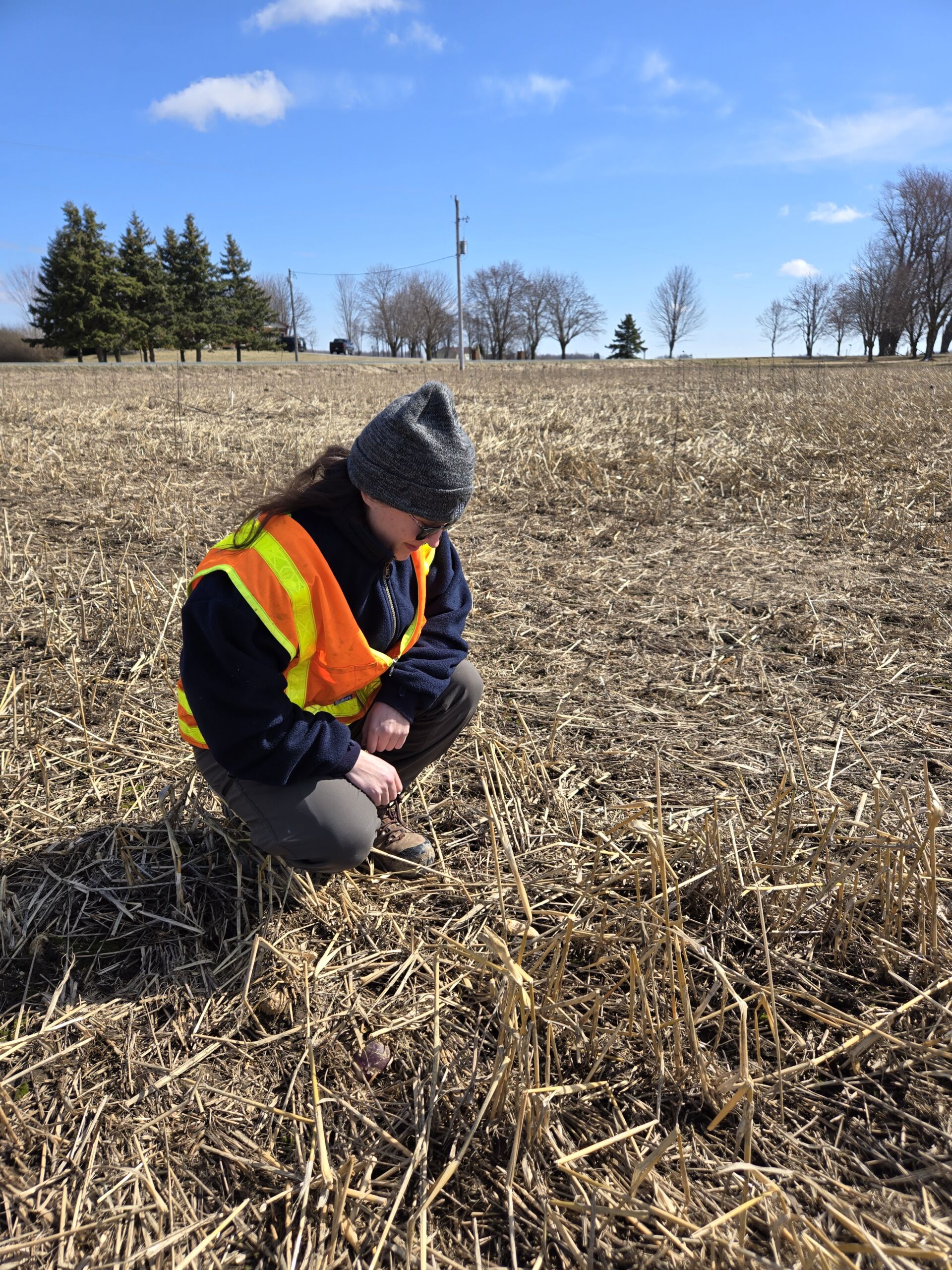 Local Landowners Lead the Way in Phosphorus Reduction Efforts - Upper ...