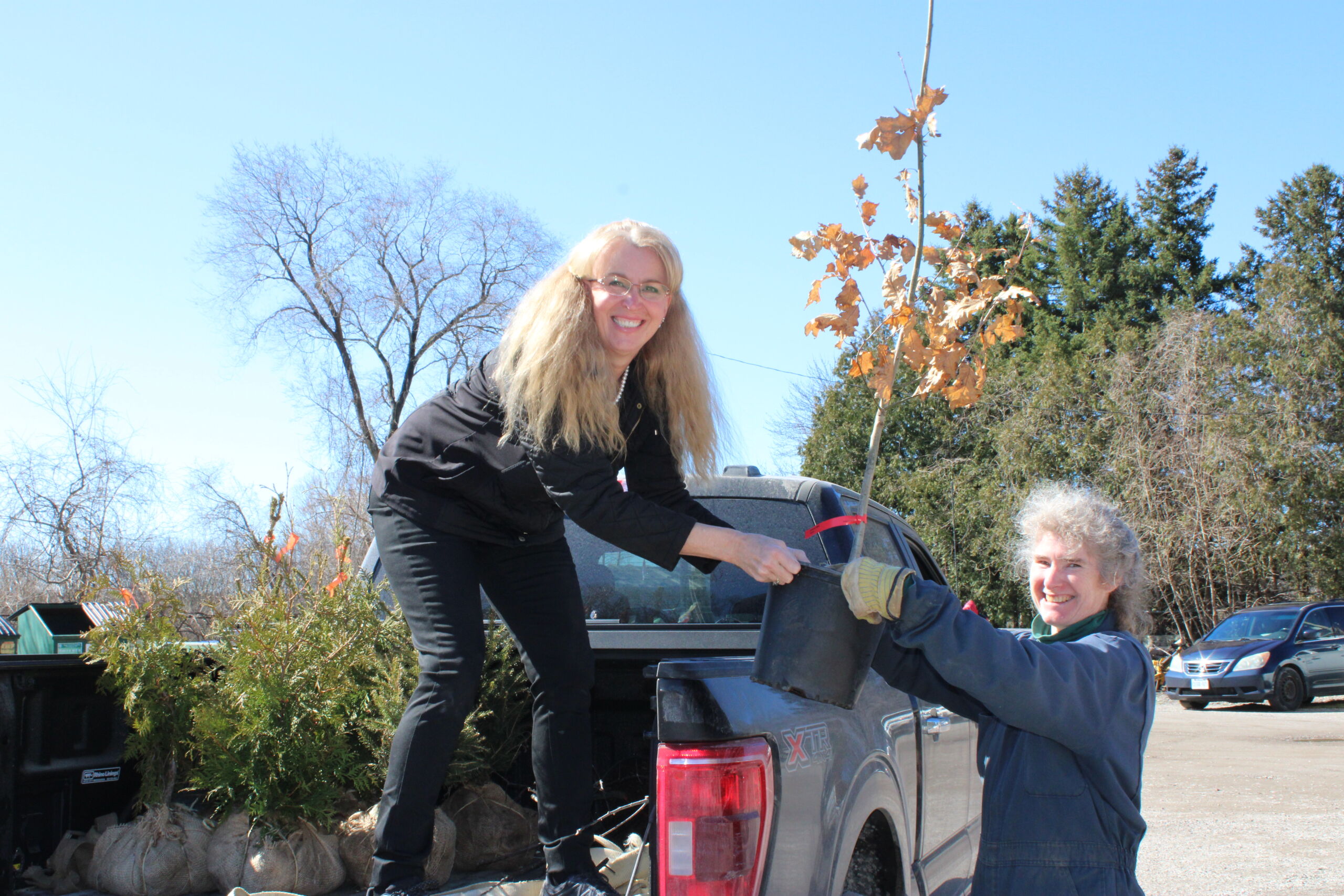 Tree Power Returns this Spring - Upper Thames River Conservation Authority
