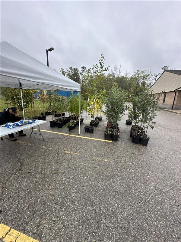 TD Tree Days Planting at Oneida Nation of the Thames - Upper Thames ...