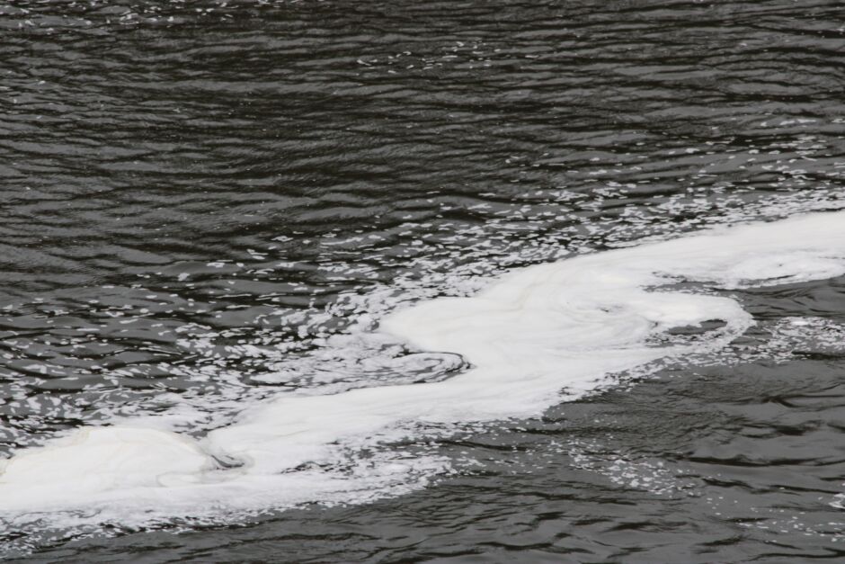 Don’t Fear the Foam! - Upper Thames River Conservation Authority