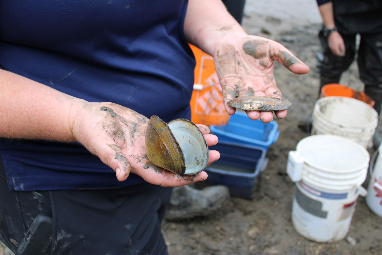 Dams and Clams: Helping Aquatic Species in Lake Victoria - Upper Thames ...