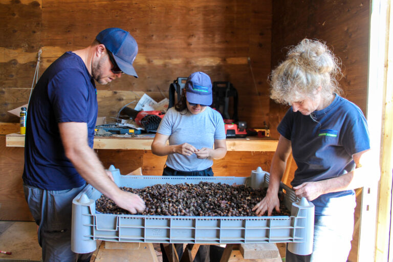 Seed Collection Program - Upper Thames River Conservation Authority