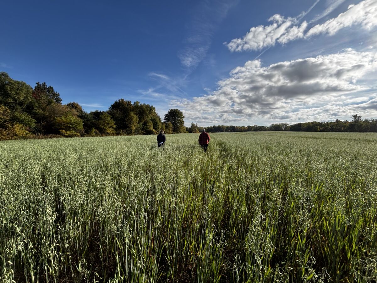 Exciting Stewardship Funding Opportunities for Landowners - Upper ...