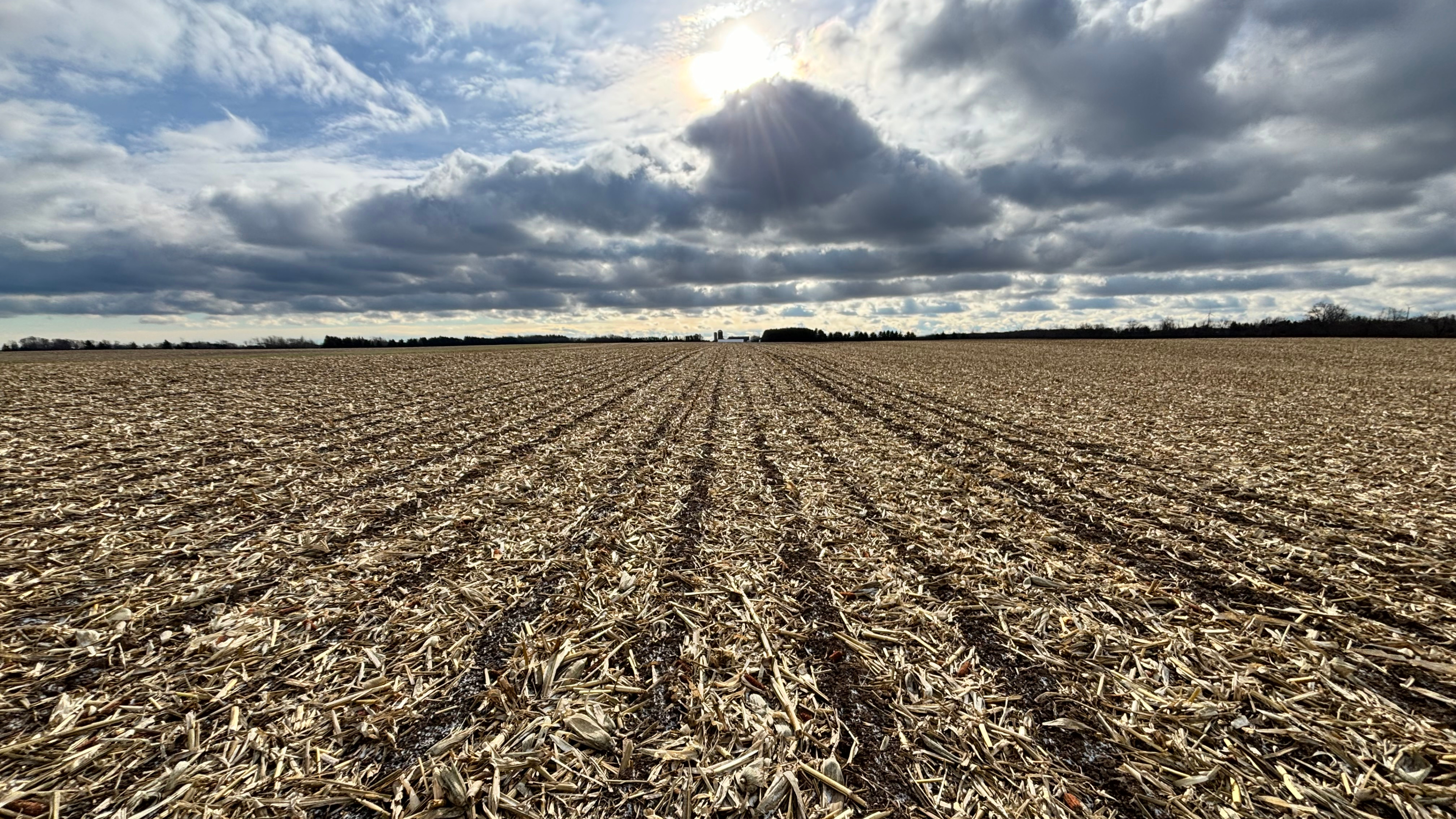 Upper Thames Phosphorus Reduction Program - Upper Thames River ...