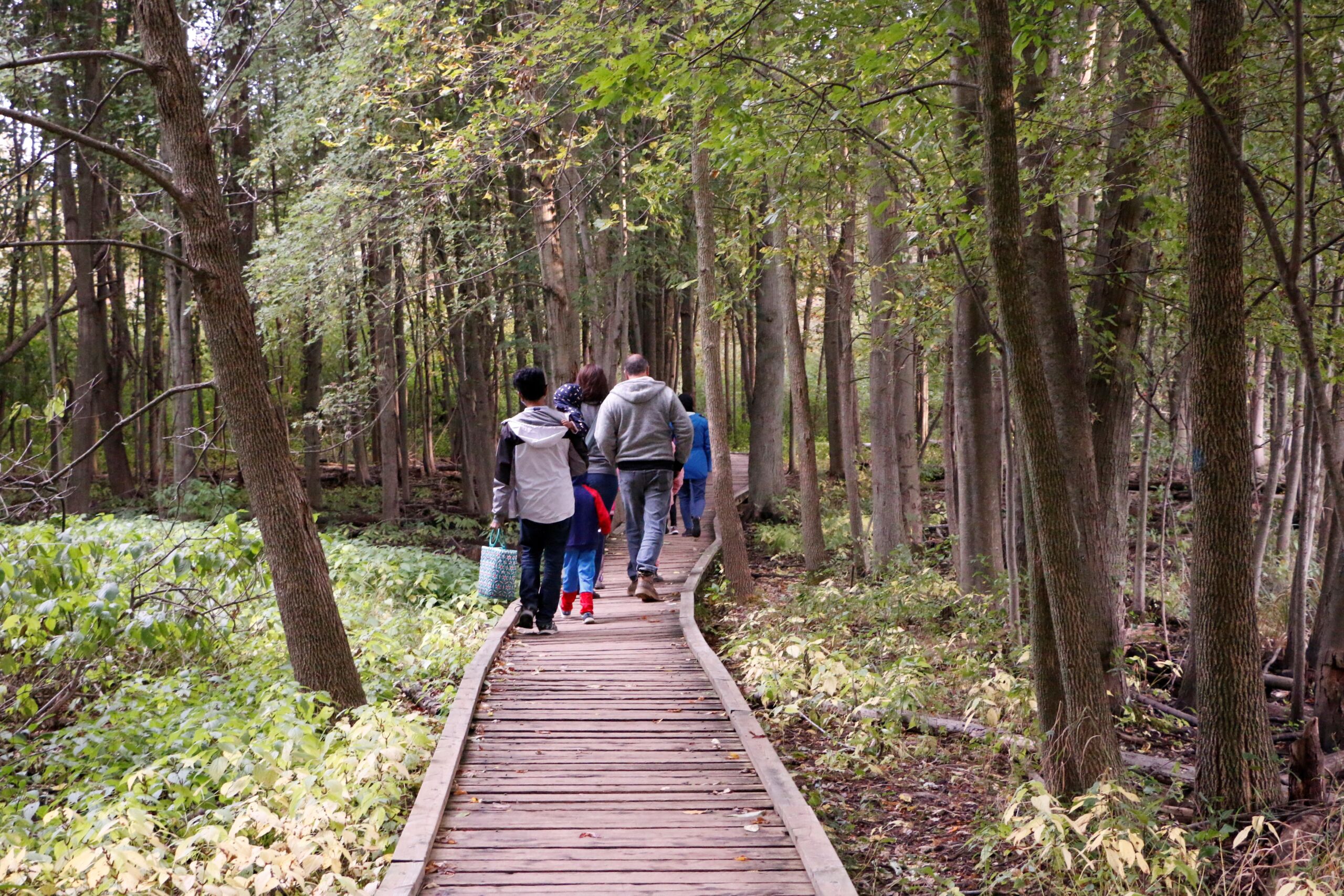 Have your say on the UTRCA Lands Strategy: Online Public Survey Open ...