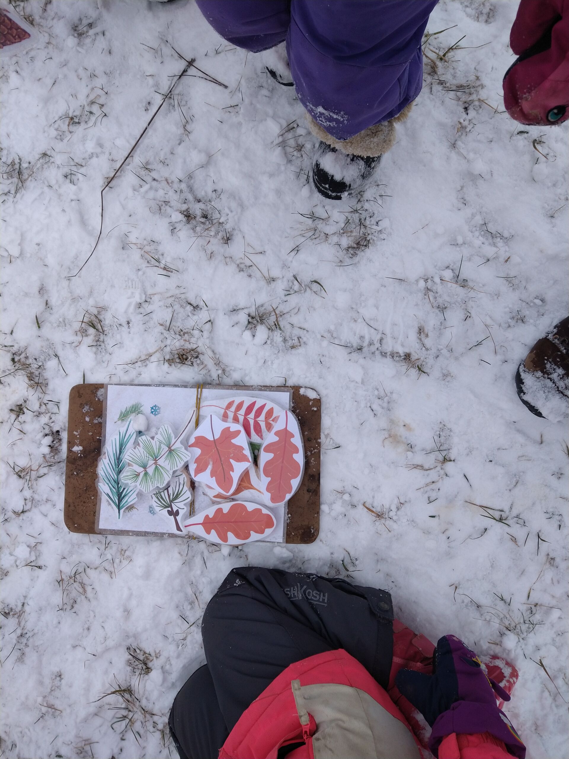 UTRCA Leads Primary Outreach Program to Embrace the Outdoors - Upper ...
