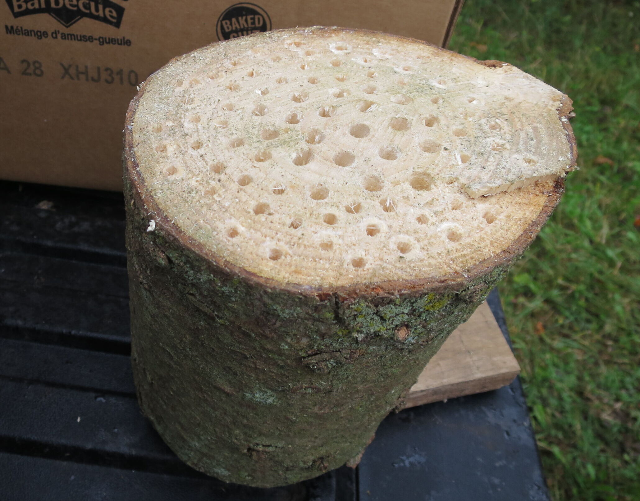 Building a Bee Condo - Upper Thames River Conservation Authority