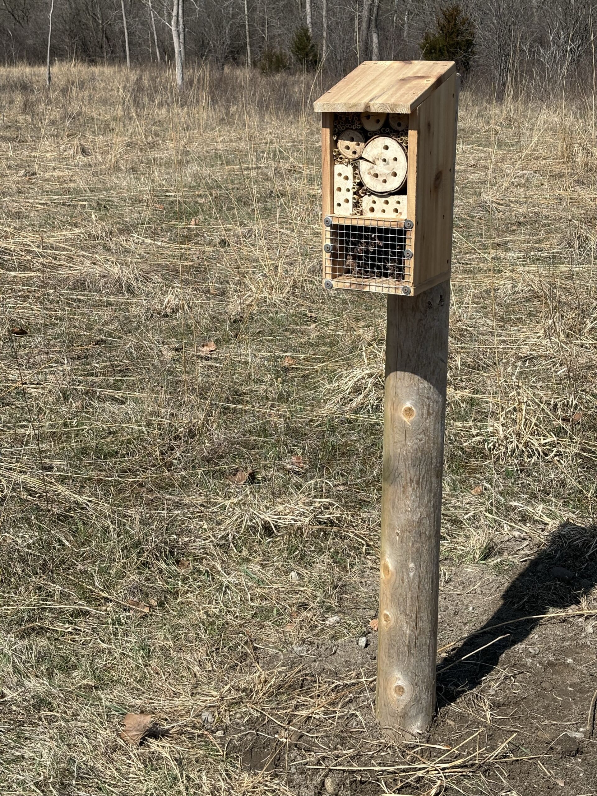Building a Bee Condo - Upper Thames River Conservation Authority