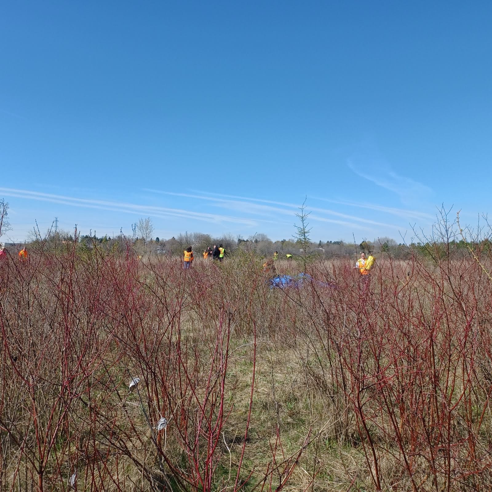 105 Trees Planted for Arbor Week - Upper Thames River Conservation ...